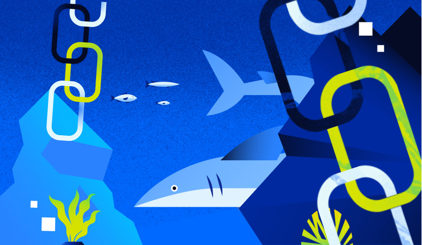 12 Startup Business Models (and How to Choose the Right One) | DigitalOcean